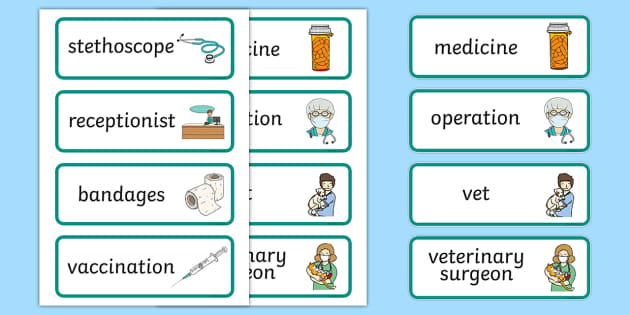 Vets Surgery Labels (teacher made)