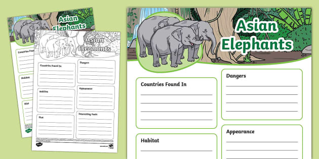 Asian Elephant Fact File Template (teacher made) - Twinkl