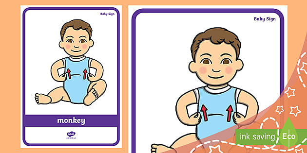 Baby Sign Language Poster (Monkey) (Teacher-Made) - Twinkl