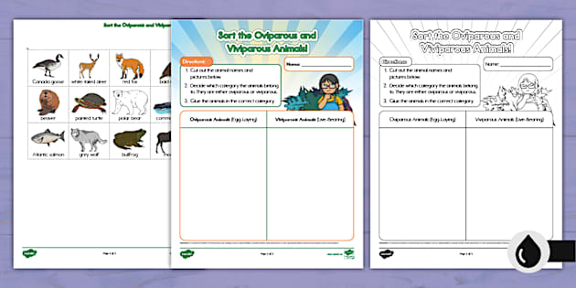 Oviparous & Viviparous Canadian Animals Sorting Sheet