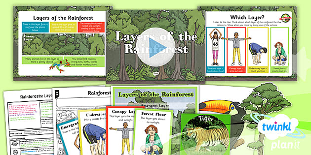 Geography: Rainforests: Layers of the Rainforest Year 3 Lesson Pack 3