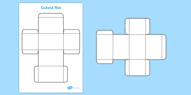 3D Net For Cuboid Cuboid Net Shape 3D Cut Out Maths 3D