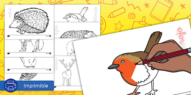 Hojas de colorear: Animales de otoño (creat de profesori)