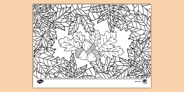 Foglio da colorare: Ghianda - Twinkl Italia (teacher made)