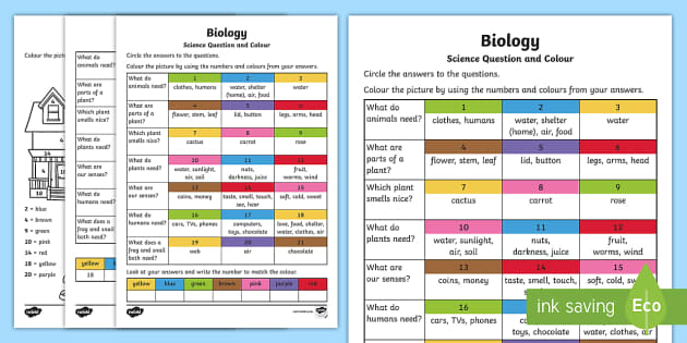 Biological Science Questions and Colouring Worksheet / Worksheets-Australia Biological Science Questions and Colouring Worksheet / Worksheets-Australia