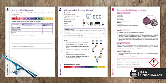 Red Cabbage Indicator Home Learning Investigation | Beyond