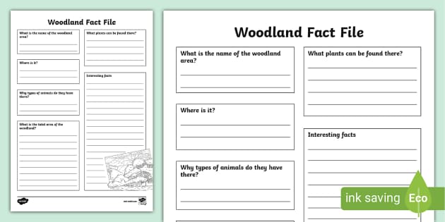 Woodland Fact File Template (teacher made)