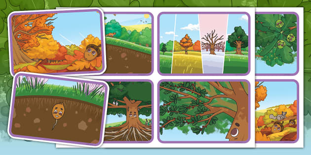 Little Acorns Story Sequencing Cards (teacher made) - Twinkl