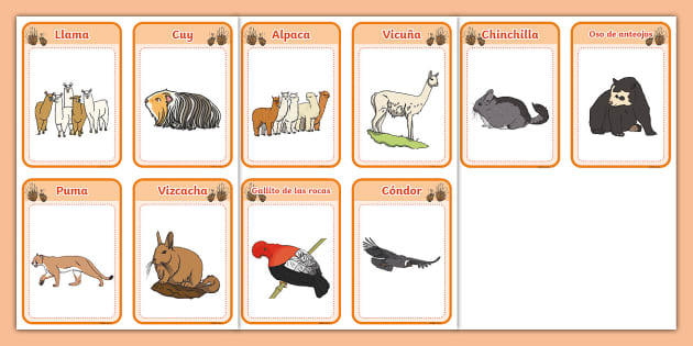 Tarjetas educativas: Animales de la sierra (Perú) - Twinkl