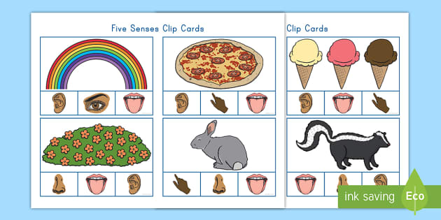 Five Senses Clip Cards