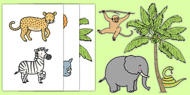 Jungle Themed Wall Decals (teacher made) - Twinkl