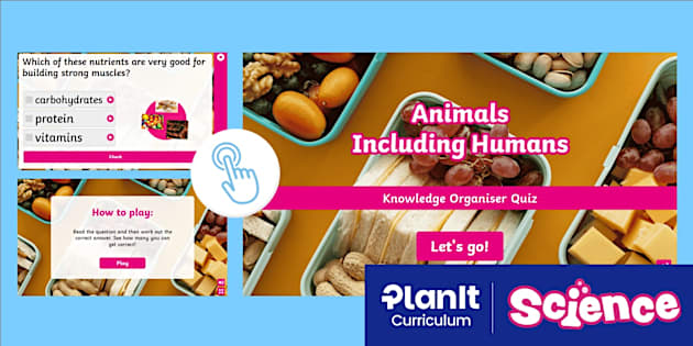 Retrieval Practice: Science: Animals Including Humans: Year 3 Interactive