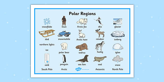 Polar Regions Word Mat (teacher made)