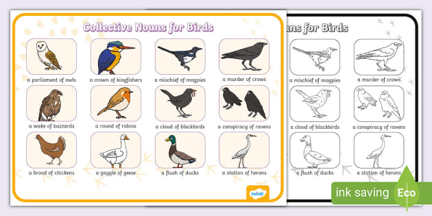 * NEW * Birds Collective Nouns Word Mat (teacher made)