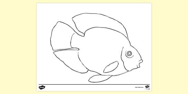 Realistic Fish Colouring Page | Colouring Sheets - Twinkl