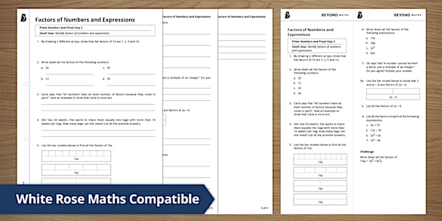 👉 Factors of Numbers and Expressions (teacher made)