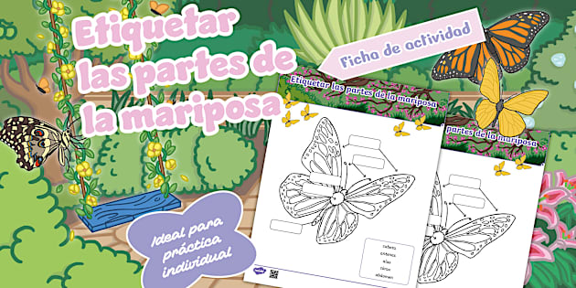 * NEW * Ficha de actividad: Etiquetar las partes de la mariposa
