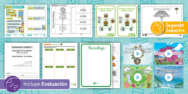 Pack Ciencias Naturales: 3º Básico - Unidad 3 - Twinkl