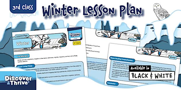 STEM (Living Things) Winter Lesson Plan 3rd Class