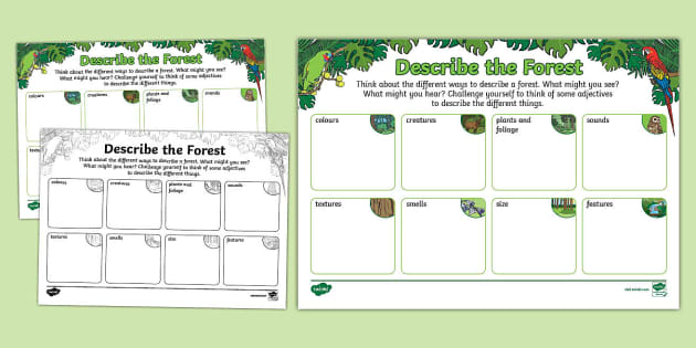 Forest Adjectives Worksheet (Lehrer gemacht) - Twinkl