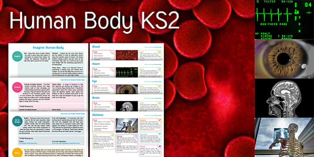* NEW * Imagine Human Body KS2 Resource Pack - blood, heart