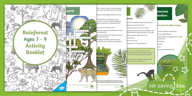 Rainforest Crafts and Activity Ideas for Kids - Twinkl Blog