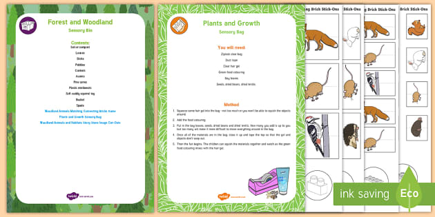 Forest and Woodland Sensory Bin and Resource Pack - Twinkl