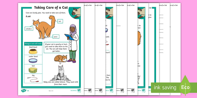 KS1 How To Look After A Cat Differentiated Reading Comprehension Activity