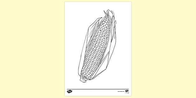 Corn Plant Colouring | Colouring Sheets