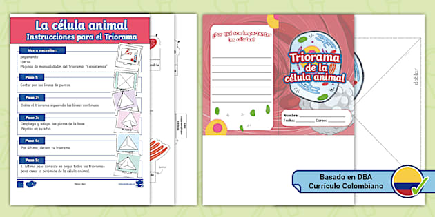 Triorama: partes de la célula animal - Twinkl Colombia