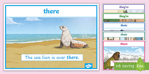 There They're Their Display Posters - NZ Primary Resources