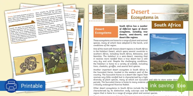 Decomposers Of The Kalahari Desert