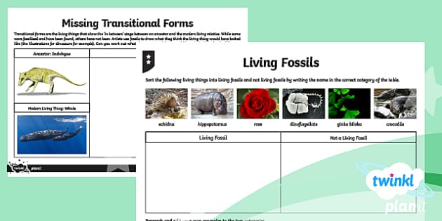 Science: Evolution and Inheritance Year 6 Home Learning Tasks