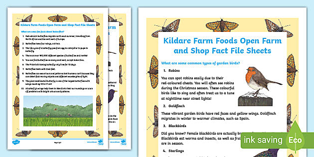 FREE! - Kildare Farm Foods Open Farm and Shop Fact File | Twinkl