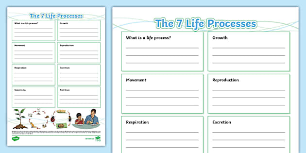 The 7 Life Processes Fact File Template Teacher Made