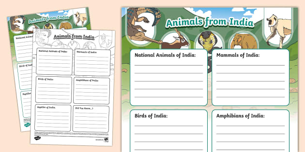 Animals from India Fact File Template (creat de profesori)