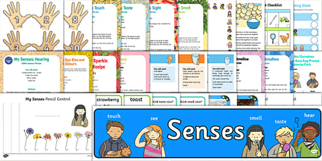 Childminder All About Me and Ourselves: My Senses Resource Pack