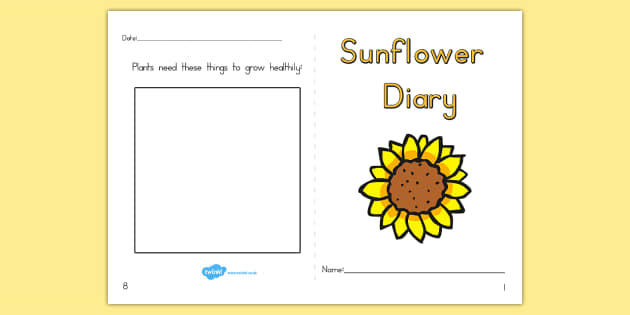 Sunflower Diary Writing Frame - sunflower, sunflower diary