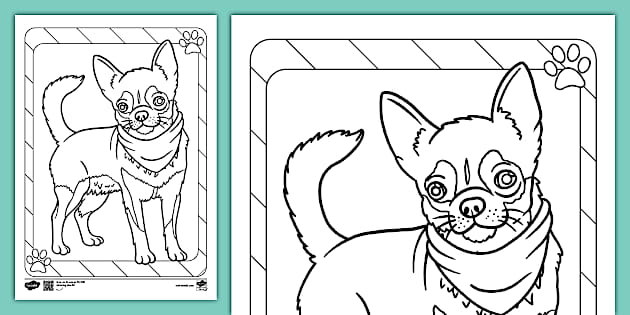 Chihuahua Colouring Page (Teacher-Made) - Twinkl