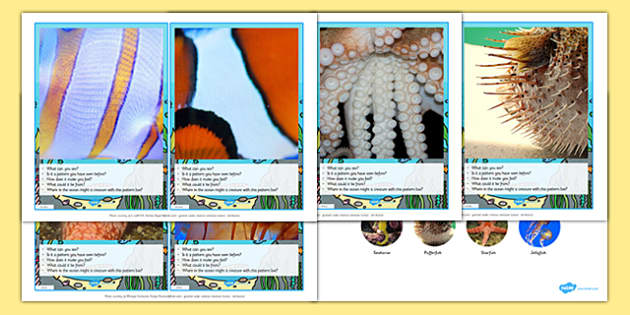 Patterns Under the Sea Discussion Activity (teacher made)