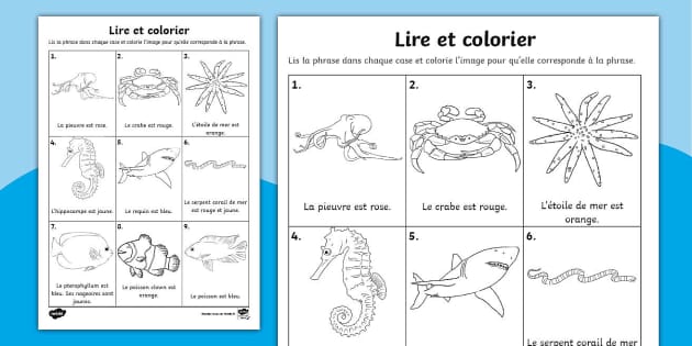 Lire et colorier : La vie aquatique (Teacher-Made) - Twinkl