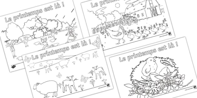 Le printemps est là ! - coloriages (teacher made) - Twinkl