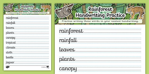 Rainforest Handwriting Practice Worksheet - Twinkl