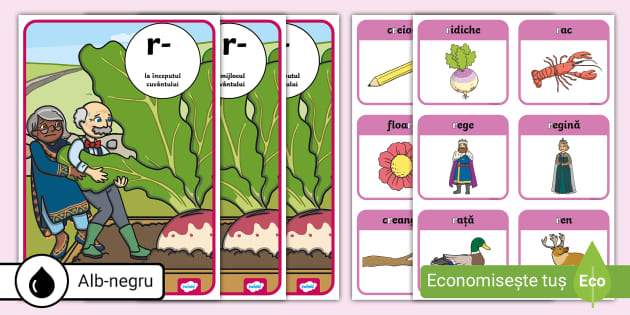 Sunetul și litera r, R – Joc de sortare - Twinkl