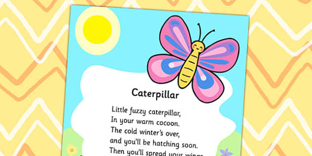 Caterpillar Nursery Rhyme Display Poster (teacher made)