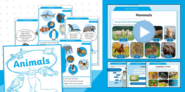 Stepping into Science: Year 1: Spring: Block 2: Animals: Steps 1 to 9