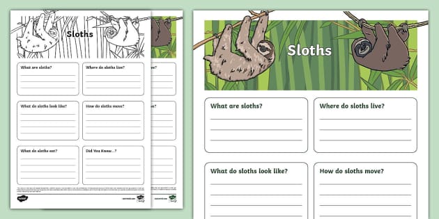 KS1 Sloth Fact File Template (teacher made) - Twinkl