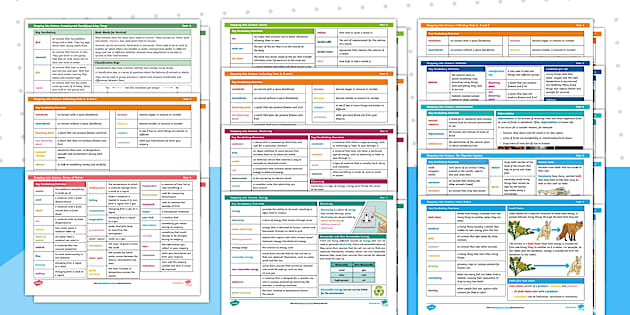 Stepping into Science: Year 4: Knowledge Organiser Pack