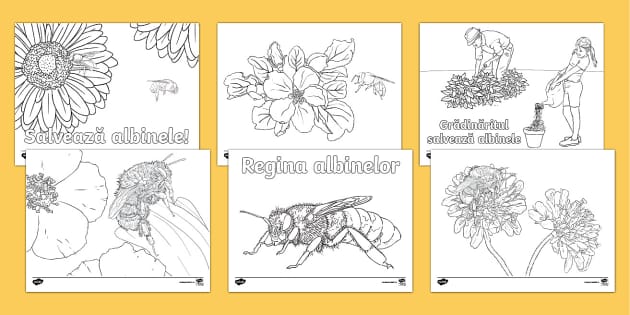 Salvează albinele! – Desene de colorat
