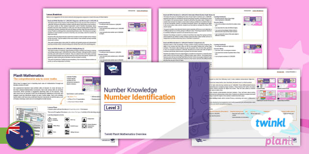 Level 3 Number Identification: Overview (teacher made)